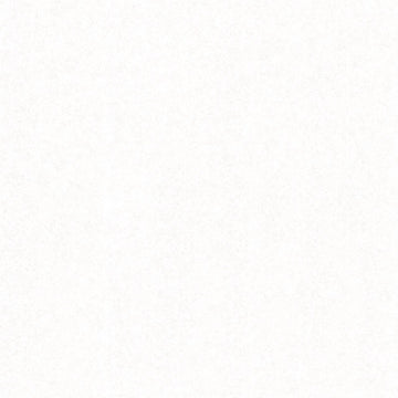 Moonlight Shimmer Perform Panel – Panel Company